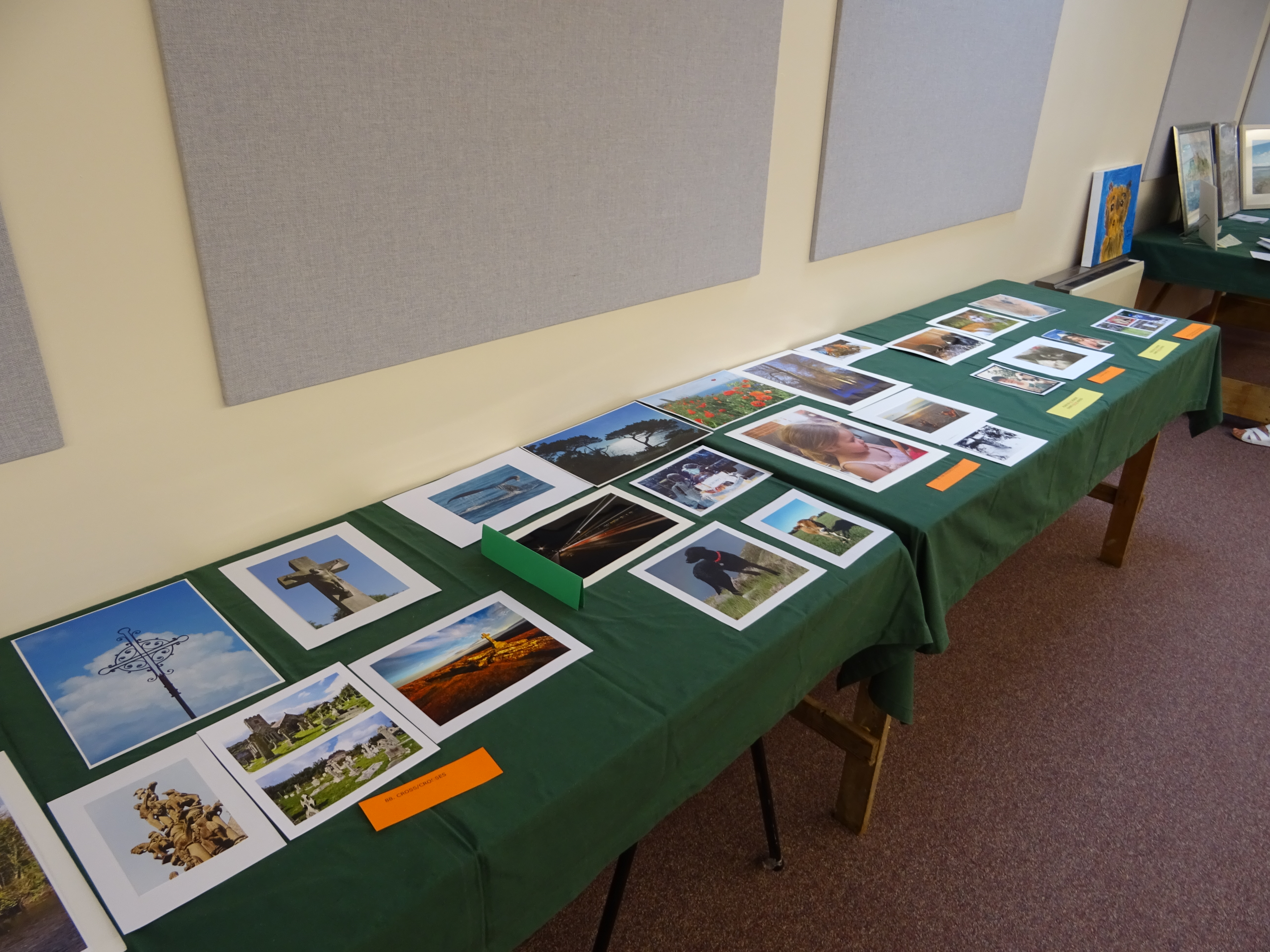 Flower Show | Sheviock Parish Council